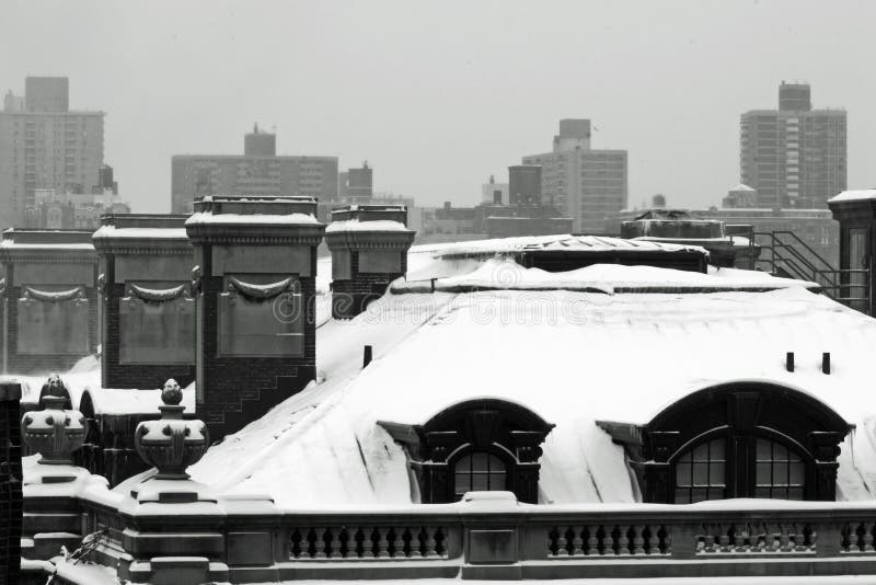Snowy Rooftop stock photo. Image of winter, style, skyline - 8381622