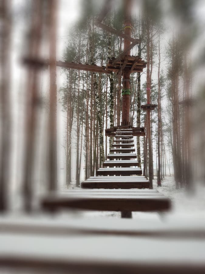 Snowy Ropes Course stock image. Image of wintery, snow - 357132527