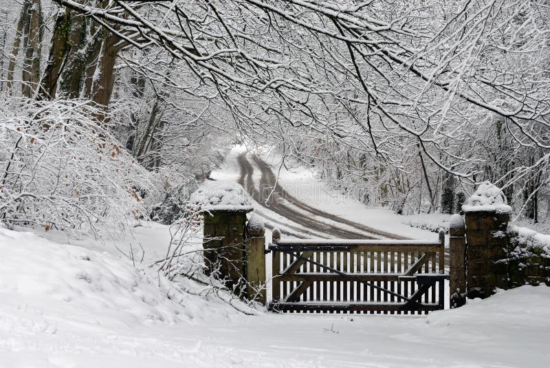 Snowy Scene stock image. Image of road, frosty, cold - 14689775