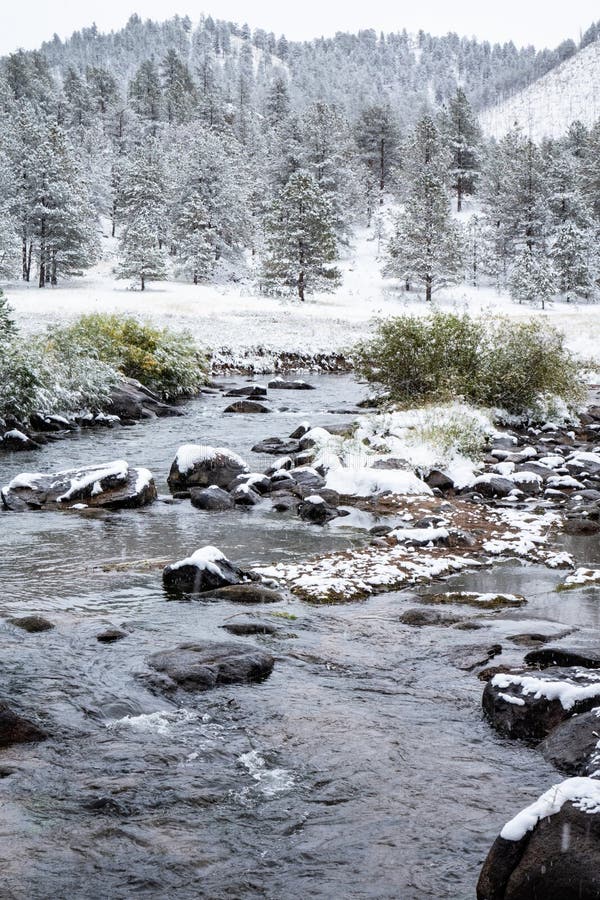 Snowy Scene Along a Trout Stream in Mountain Country Stock Image ...