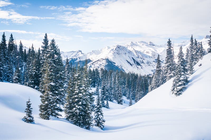 Snowy Scene stock image. Image of wilderness, outdoors - 66975957