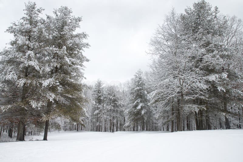 A Snowy Scene in the Mountains. Stock Photo - Image of park, scene ...