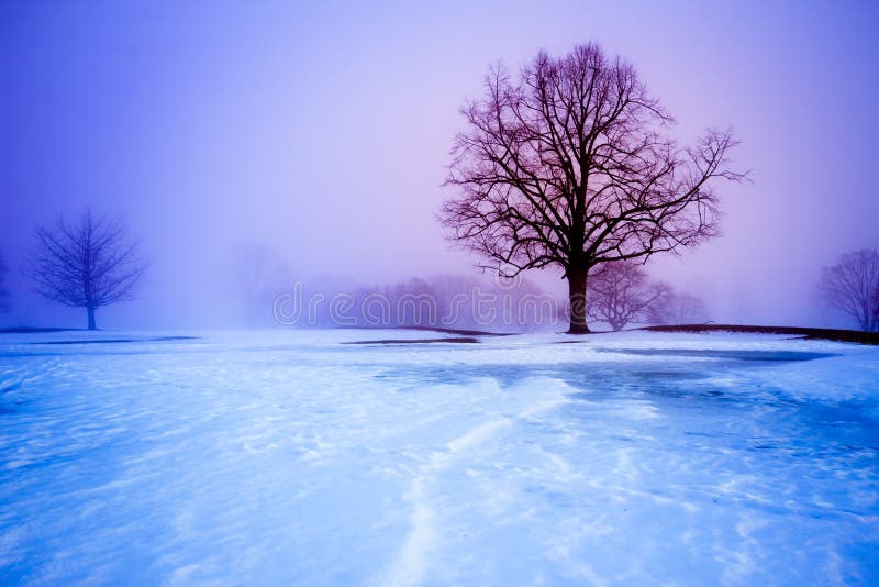 Snowy scene stock image. Image of lavender, tranquil - 36368979