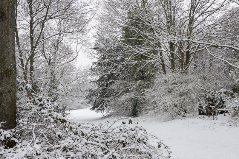 A Snowy Scene on Southampton Common Stock Image - Image of tree, trees ...