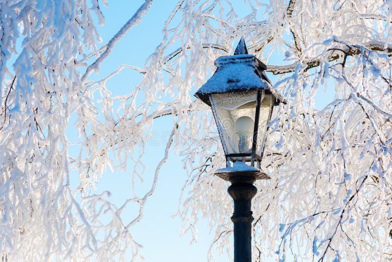 Snowy Scene of a Street Lamp and Trees Stock Photo - Image of evening ...