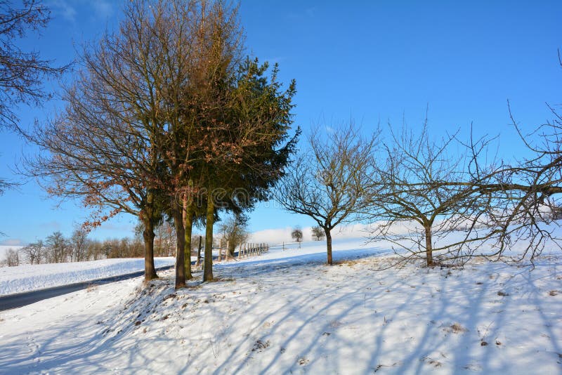 Snowy Scenery with Trees, Street and Blue Sky Stock Image - Image of ...
