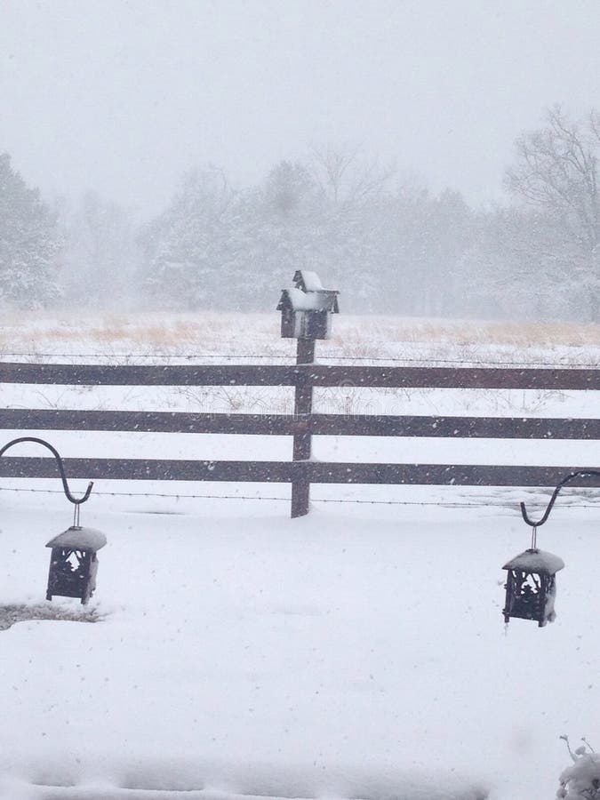 Snowy stock photo. Image of snowy, fall, trees, snow - 45672308