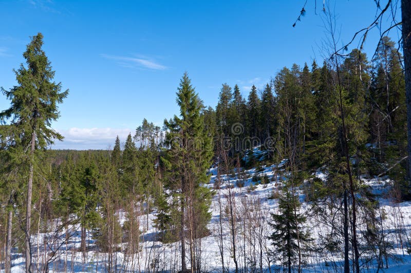 Snowy spring landscape stock photo. Image of environment - 70122968