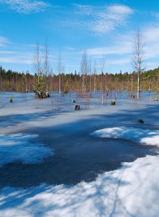 Snowy spring landscape stock photo. Image of outdoor - 70312298