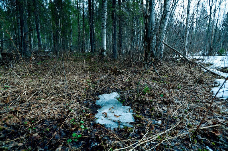 Snowy spring landscape stock image. Image of water, landscape - 70312377