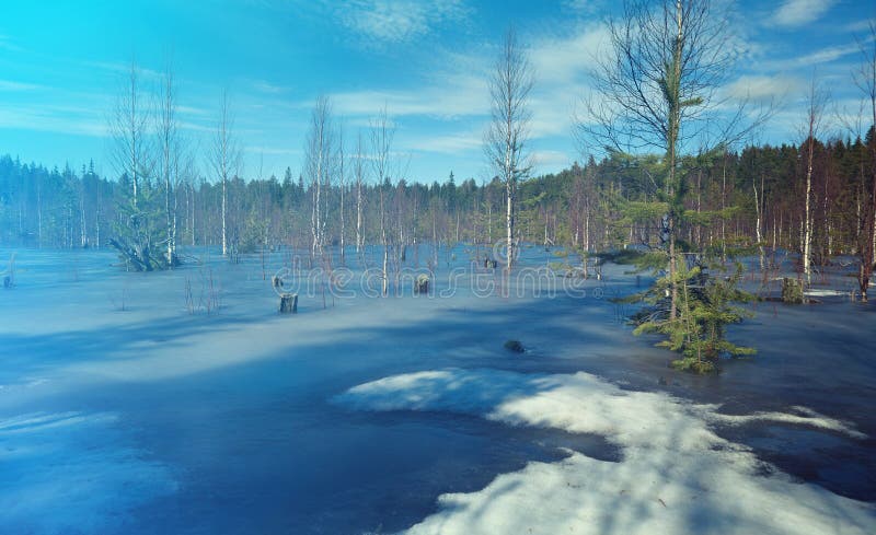 Snowy spring landscape stock image. Image of wood, lake - 86667345