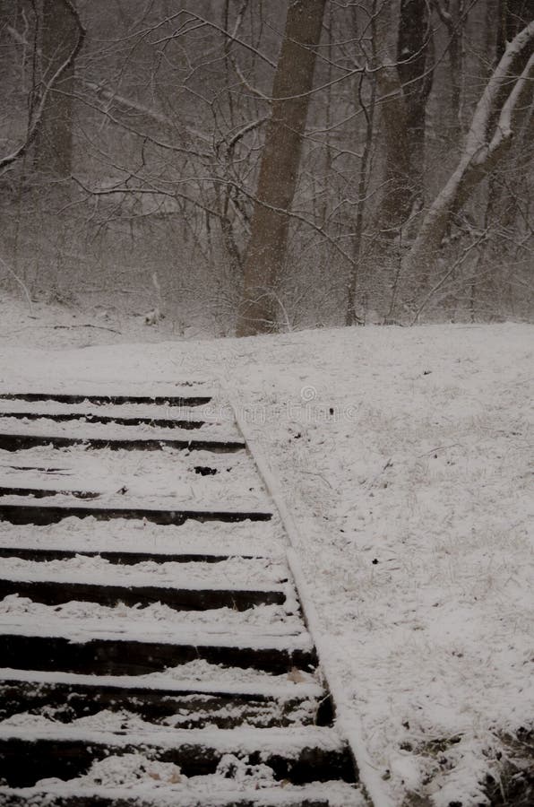 Snowy Steps, Heavy Snowfall Stock Photo - Image of calendar, climb: 6203080