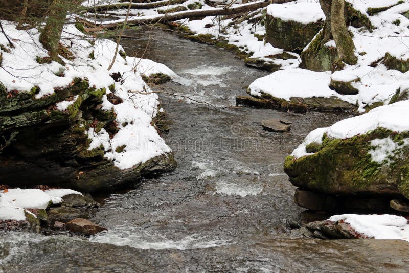 Snowy stream stock photo. Image of covered, snow, wood - 87271582