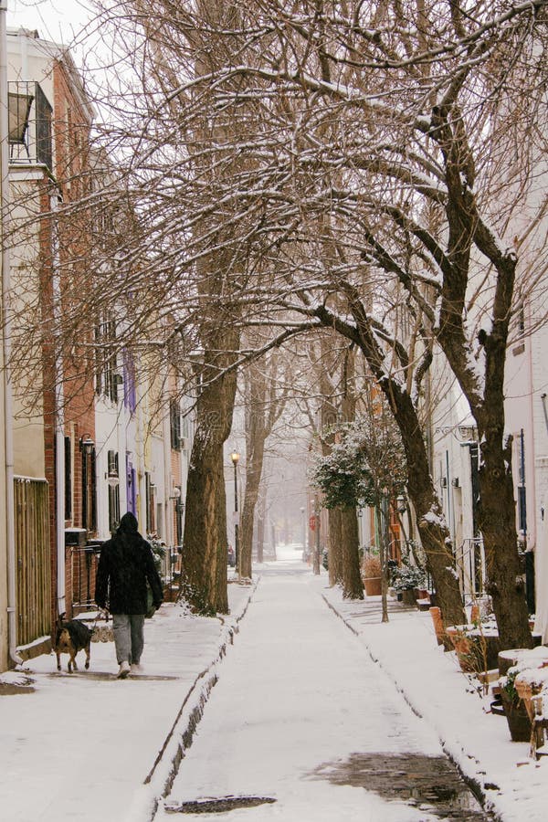 Snowy Street stock image. Image of natural, cold, idyllic - 1946375