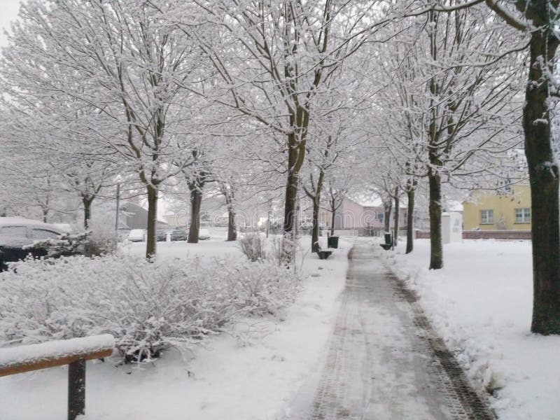 Snowy street stock image. Image of street, trees, white - 92906927