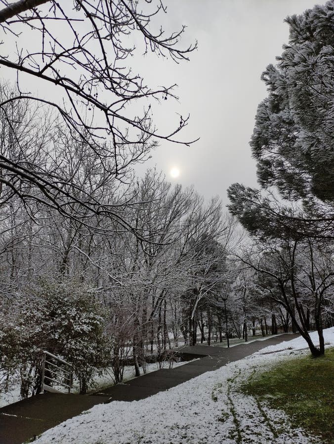 Snowy Sun Bright Cold Winter Stock Photo - Image of winter, snowy ...