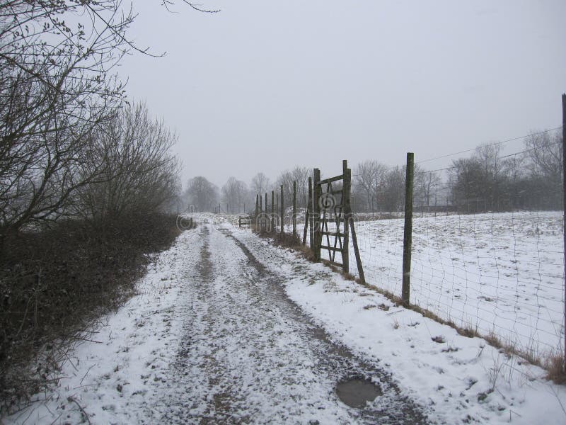Snowy Track stock image. Image of countryside, snow - 112521893