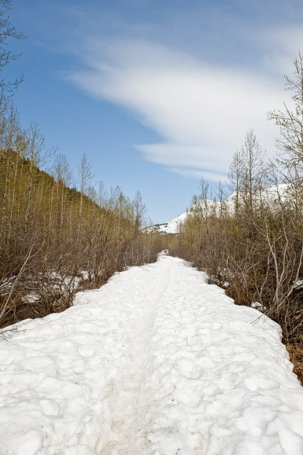 Snowy trail stock image. Image of cold, mountain, snow - 11479791