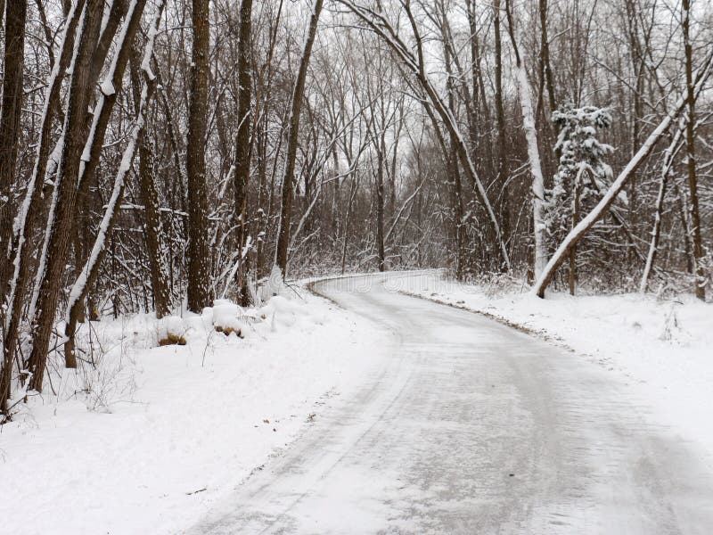 Snowy Trail through the Forest Stock Image - Image of healthy ...