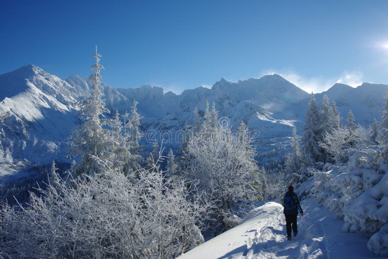 Snowy trail stock photo. Image of hill, mountains, covered - 83713714