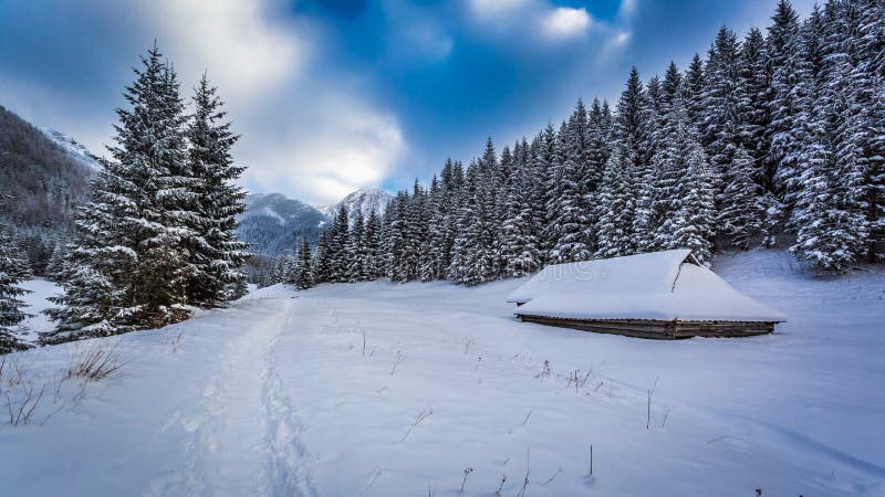 Snowy Trail at the Mountain Peak Stock Photo - Image of dusk, mountain ...
