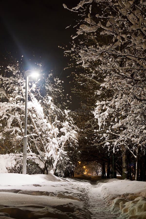 Snowy Trail and Street Lamp in Winter Evening Stock Photo - Image of ...