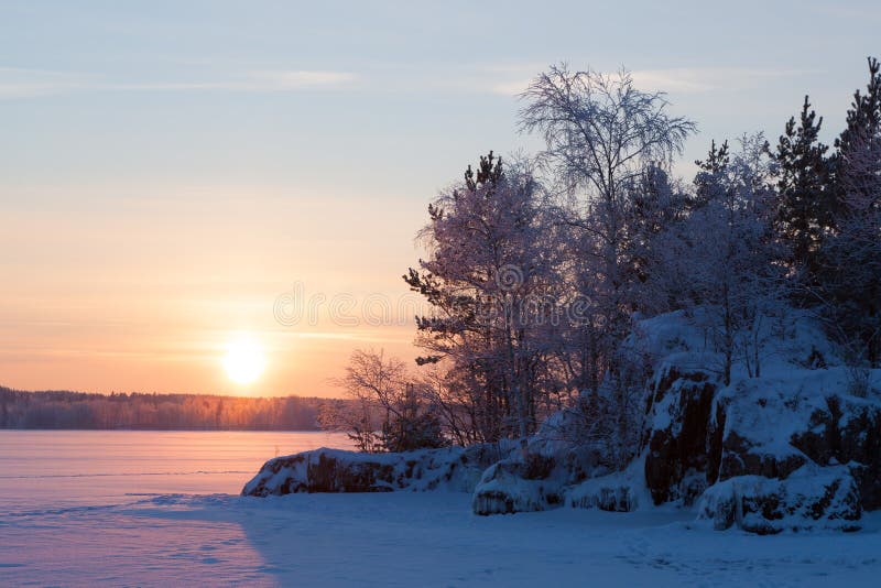 Snowy Trees Landscape at Winter Evening Stock Image - Image of finland ...