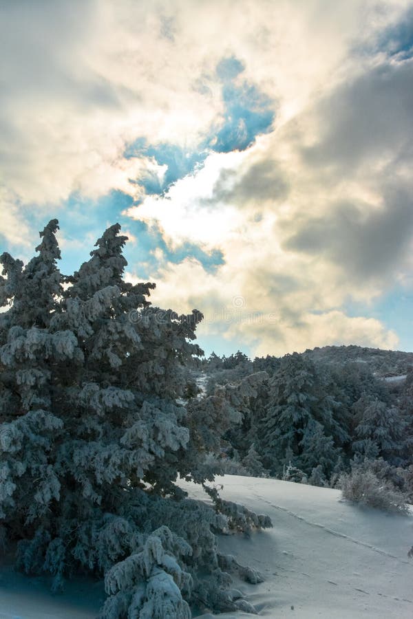 Snowy trees and mountains stock image. Image of white - 129221231
