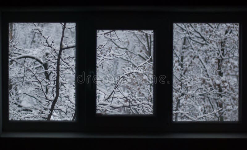 Snowy Trees Outside the Window in Winter Stock Photo - Image of season ...