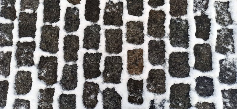 Snowy Trees in Winter - Close-up Stock Image - Image of snow, copy ...