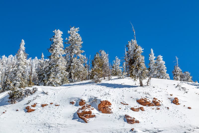 A Snowy Utah Landscape stock image. Image of nature - 142311703