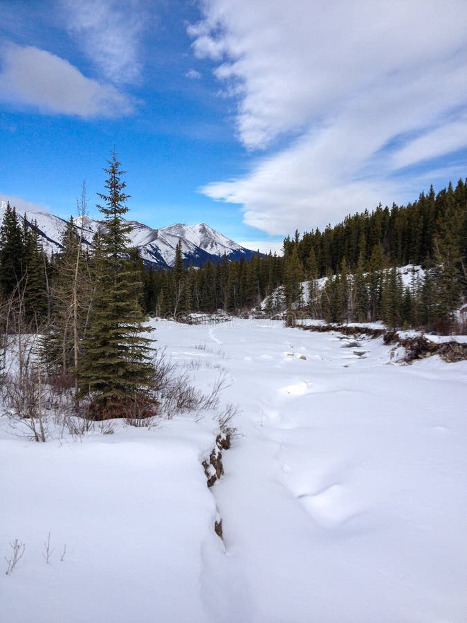 Snowy Valley with Mountains and Evergreen Forest Stock Photo - Image of ...