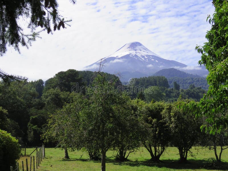 Snowy Volcano Behind the Trees Stock Image - Image of ducks, leaves ...