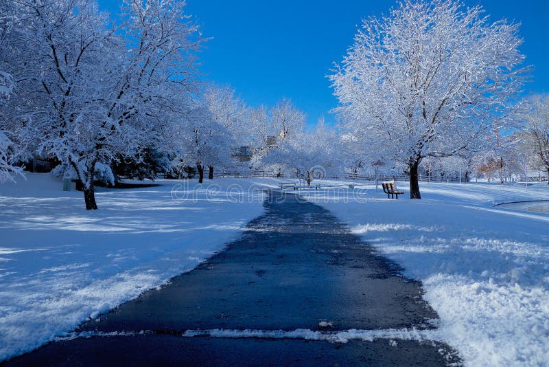 Snowy morning walk stock photo. Image of transport, view - 38690186