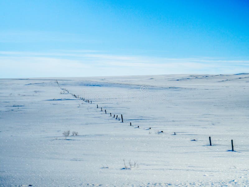 Snowy Walkway with Blue Sky during Winter Stock Photo - Image of ...