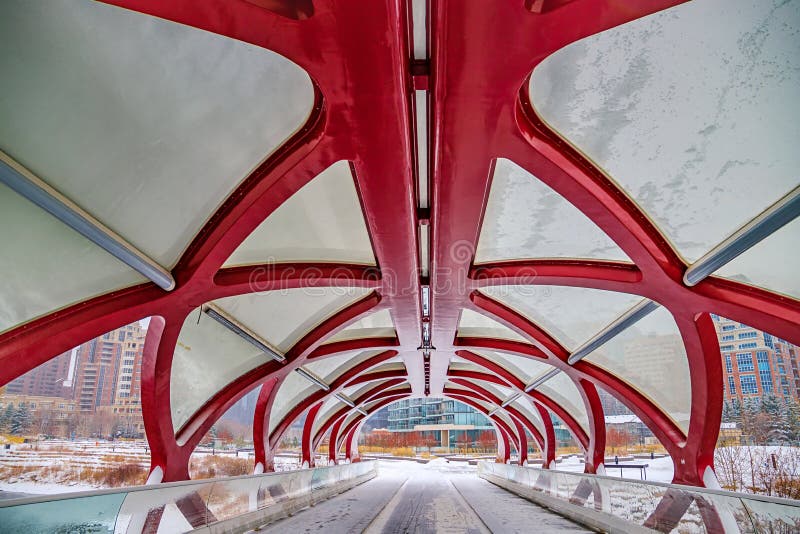 Snowy Walkway on the Peace Bridge Editorial Stock Photo - Image of view ...