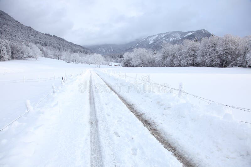 Snowy way stock image. Image of frozen, nature, road - 23033251