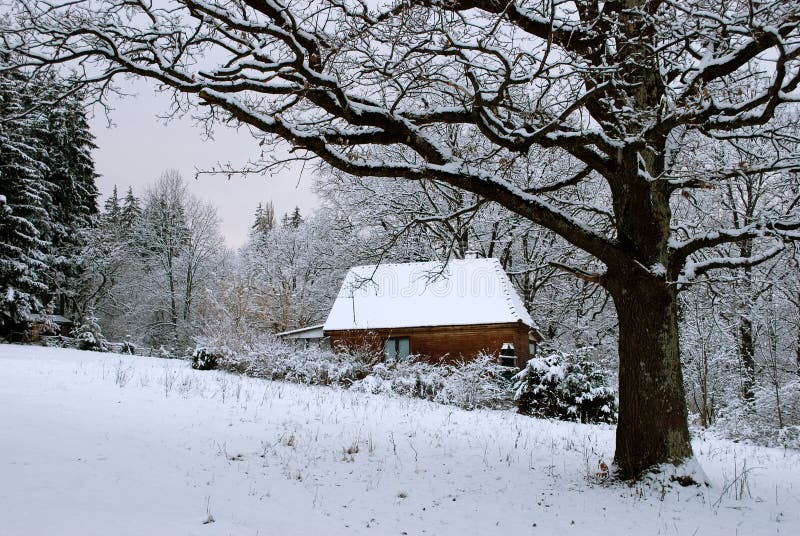 Snowy weather stock image. Image of isolated, building - 10653061