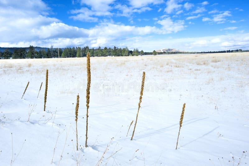 Snowy wilderness stock image. Image of cold, blue, clouds - 25199049
