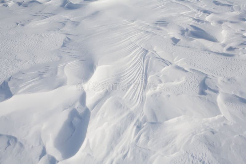 Snowy wilderness stock image. Image of cold, dunes, nature - 51354755