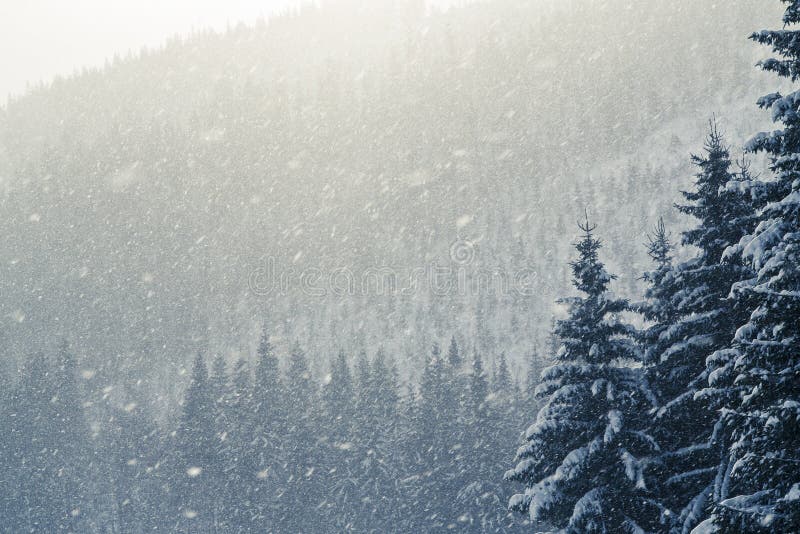 Snowy winter background stock photo. Image of weather - 29578154