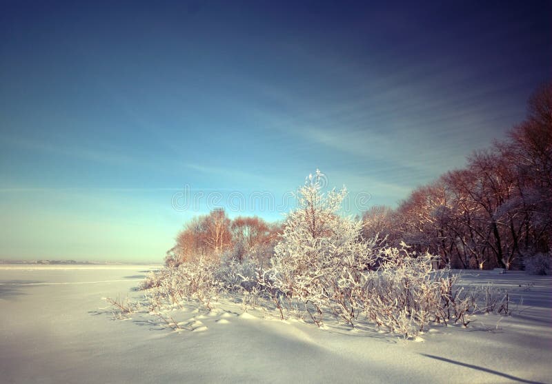 Frosty winter day stock photo. Image of park, december - 29978064