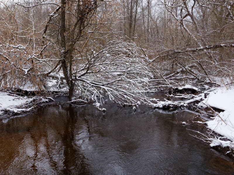 Snowy Winter Flow of Water Rivers on the Banks Ice Tree Branches in the ...