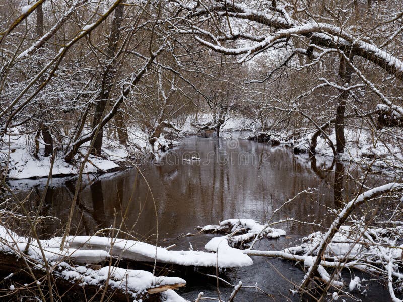 Snowy Winter Flow of Water Rivers on the Banks Ice Tree Branches in the ...