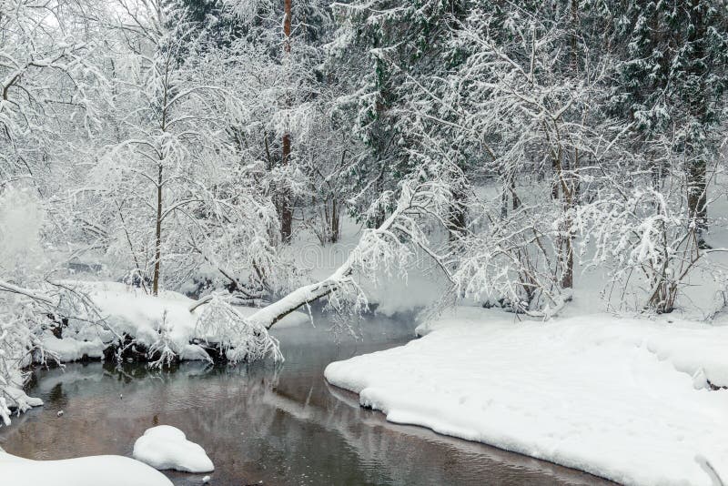 Snowy Winter Forest and Flowing River. Scenic Landscape on a Winter Day ...