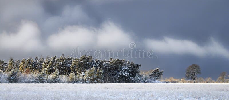 Snowy winter landscape stock photo. Image of snow, grass - 16547136