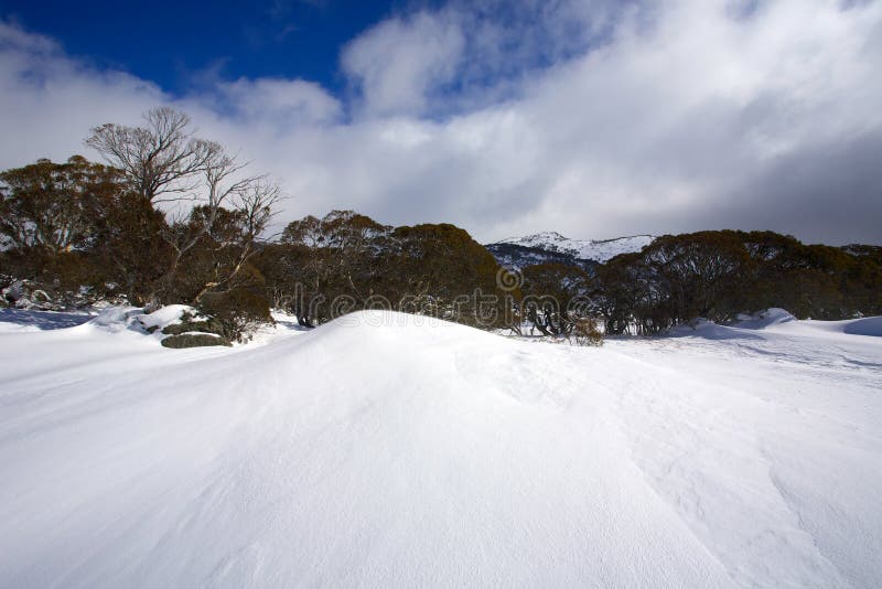 Snowy winter landscape stock photo. Image of australia - 31792038
