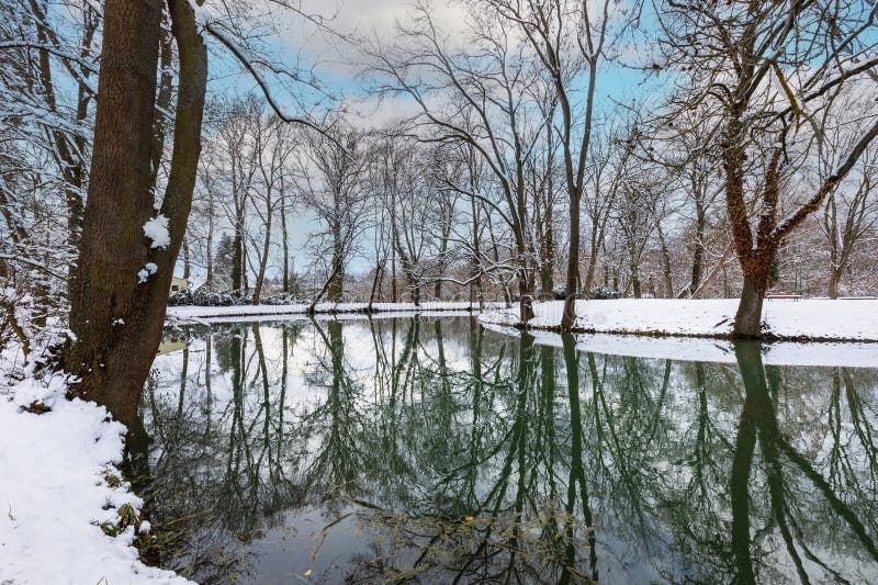 A Snowy Winter Landscape with a Small Pond and Tall Trees Growing on ...
