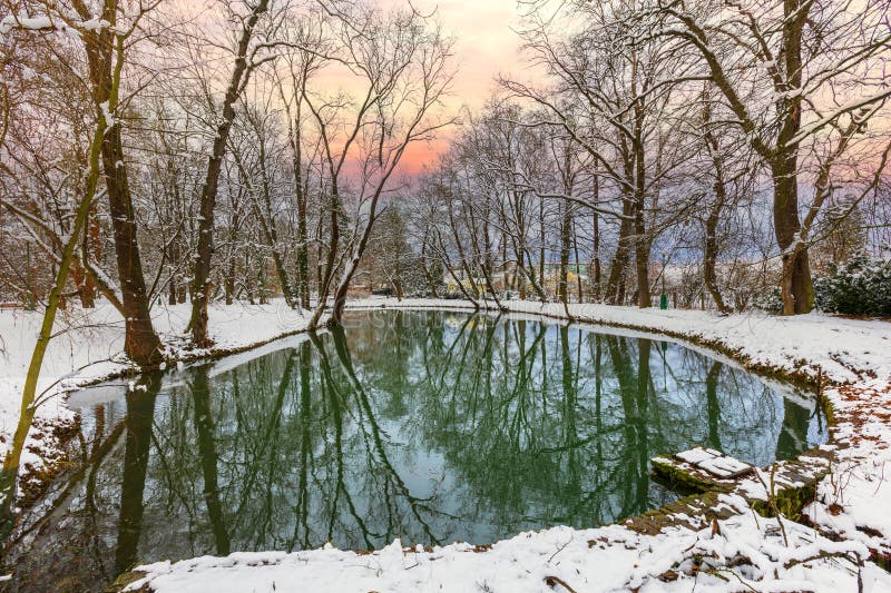 A Snowy Winter Landscape with a Small Pond and Tall Trees Growing on ...