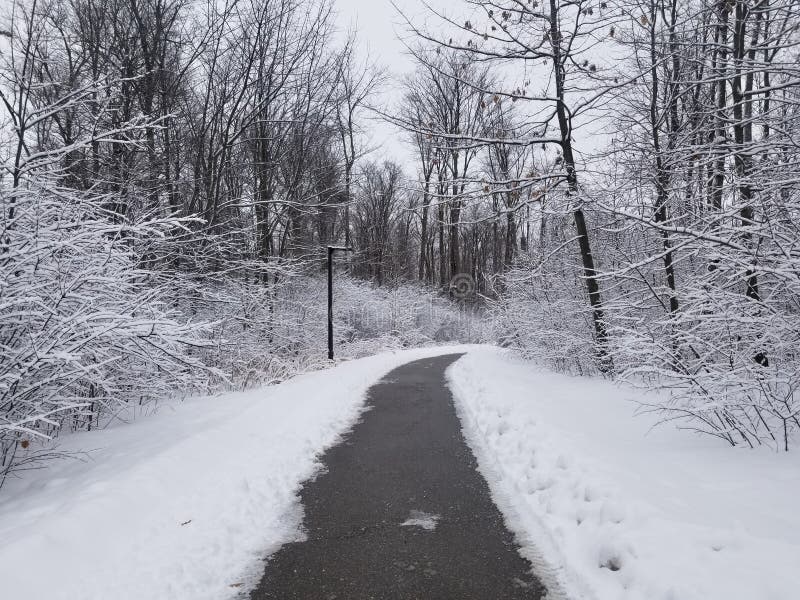 Snowy Winter Pathway stock image. Image of snowy, snow - 240628807